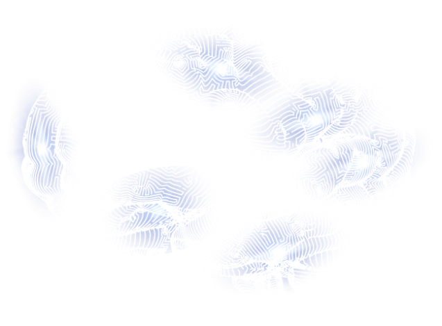 Brain Integration Institute